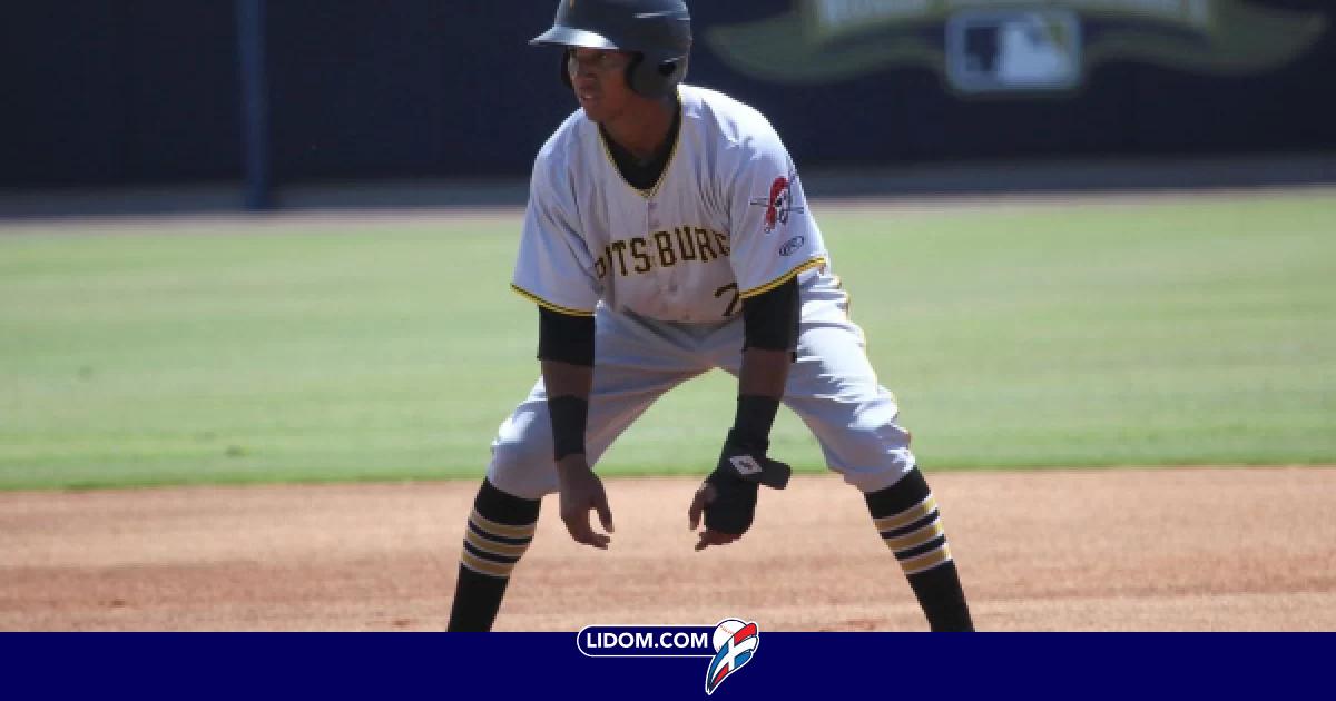 Conociendo a los novatos : Lolo Sánchez | Lidom