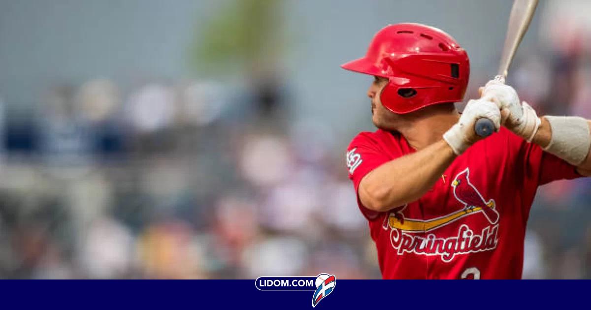 Mike Antico, un Toro importado ! | Lidom