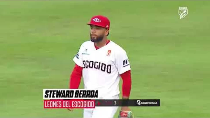 Liga de Béisbol Profesional de la República Dominicana. | Lidom